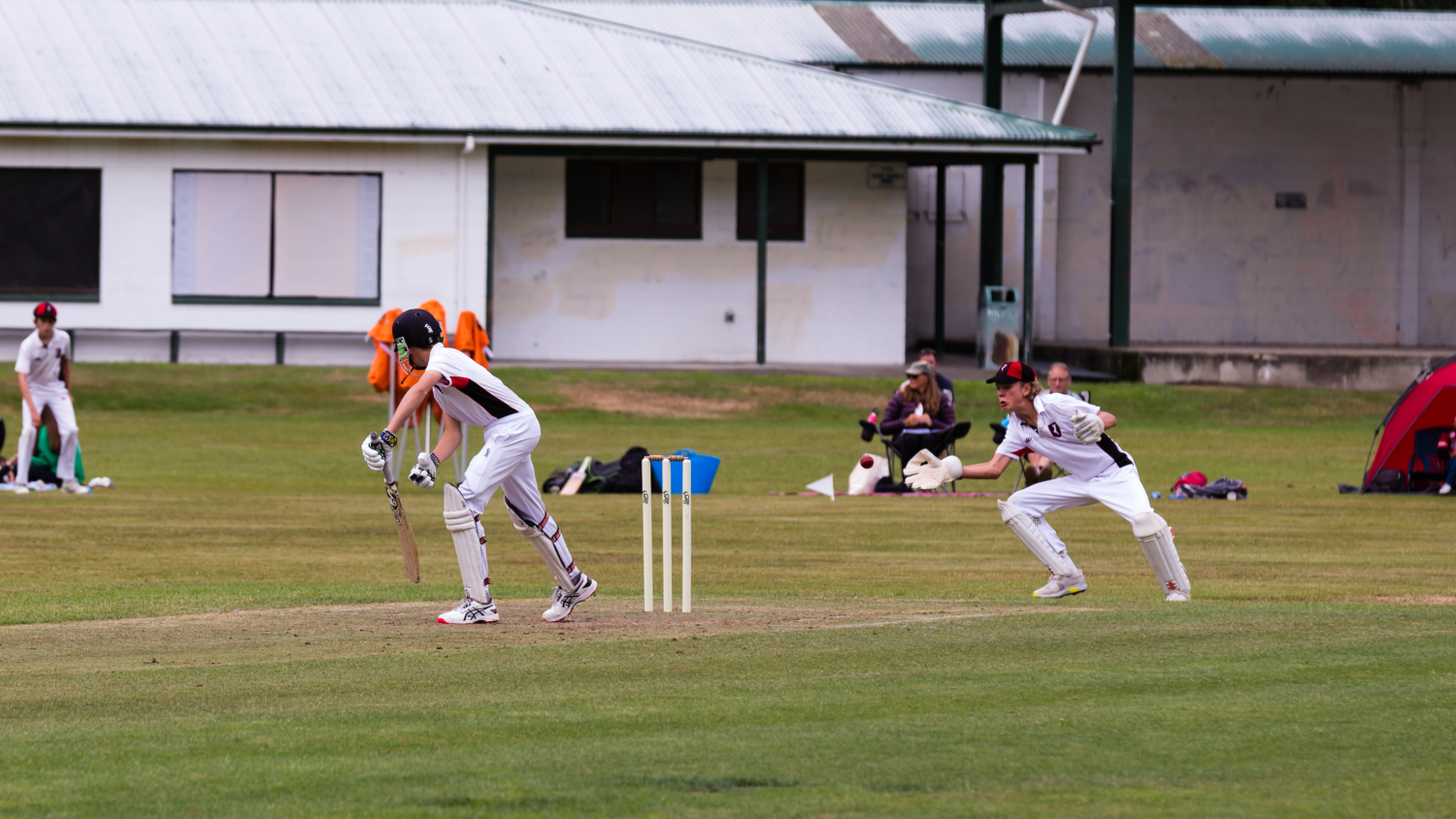 Winners of CJCA Cricket Express Photo Competition announced ...