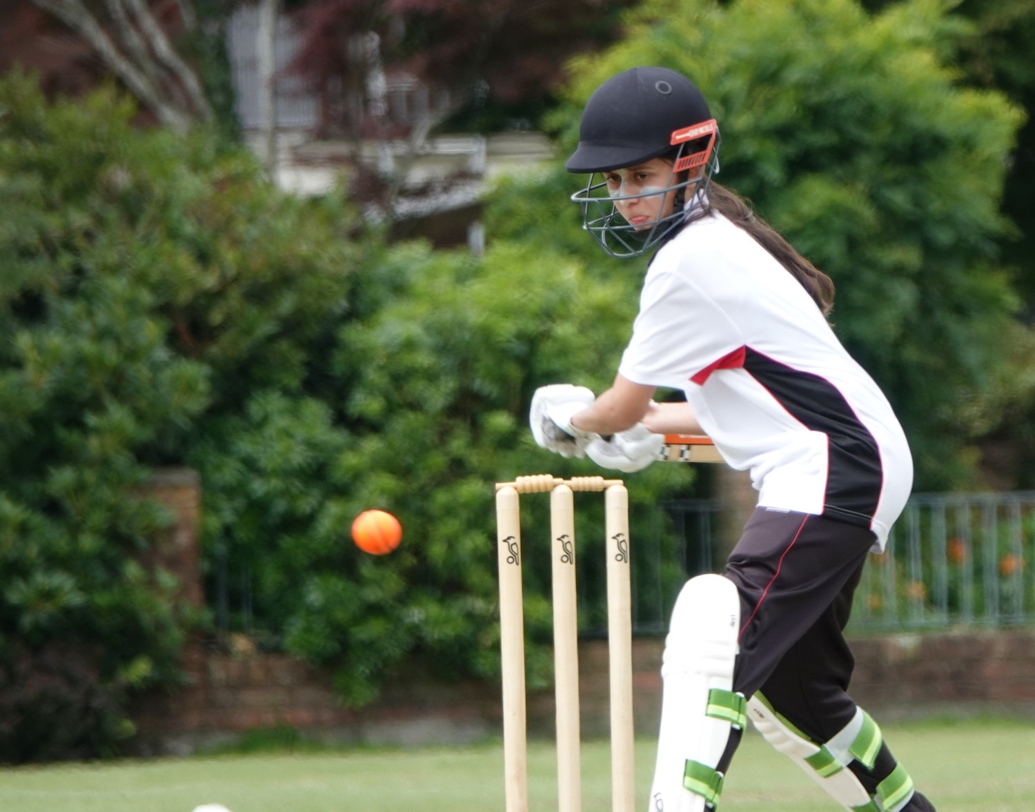 2025 Girls Spring Festival – Christchurch Junior Cricket Association